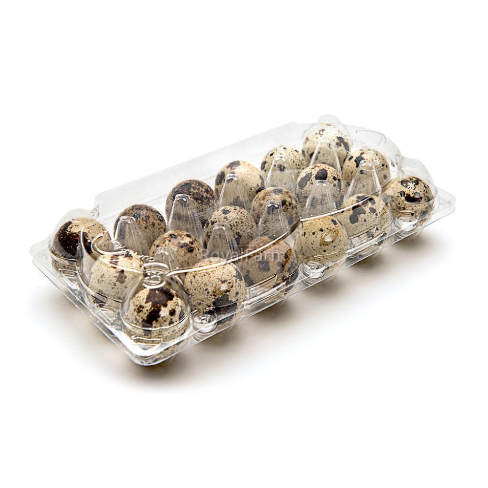 Műanyag fürjtojás tartó 18 darabos (góliát méretű fürjtojásoknak is ...