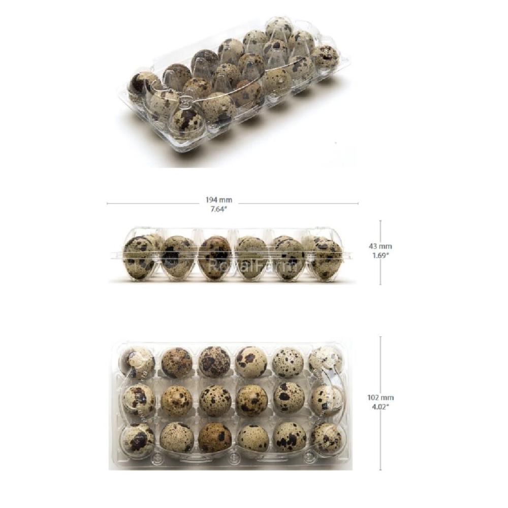 Műanyag fürjtojás tartó 18 darabos (góliát méretű fürjtojásoknak is ...