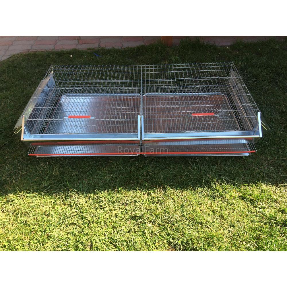 Tojáskigurulós fürjketrec (120 cm)