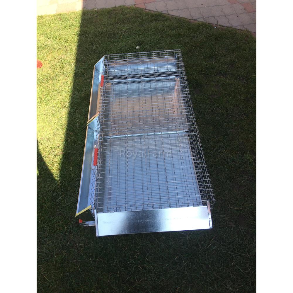 Fürj tojóketrec, 2 részes (130 cm)