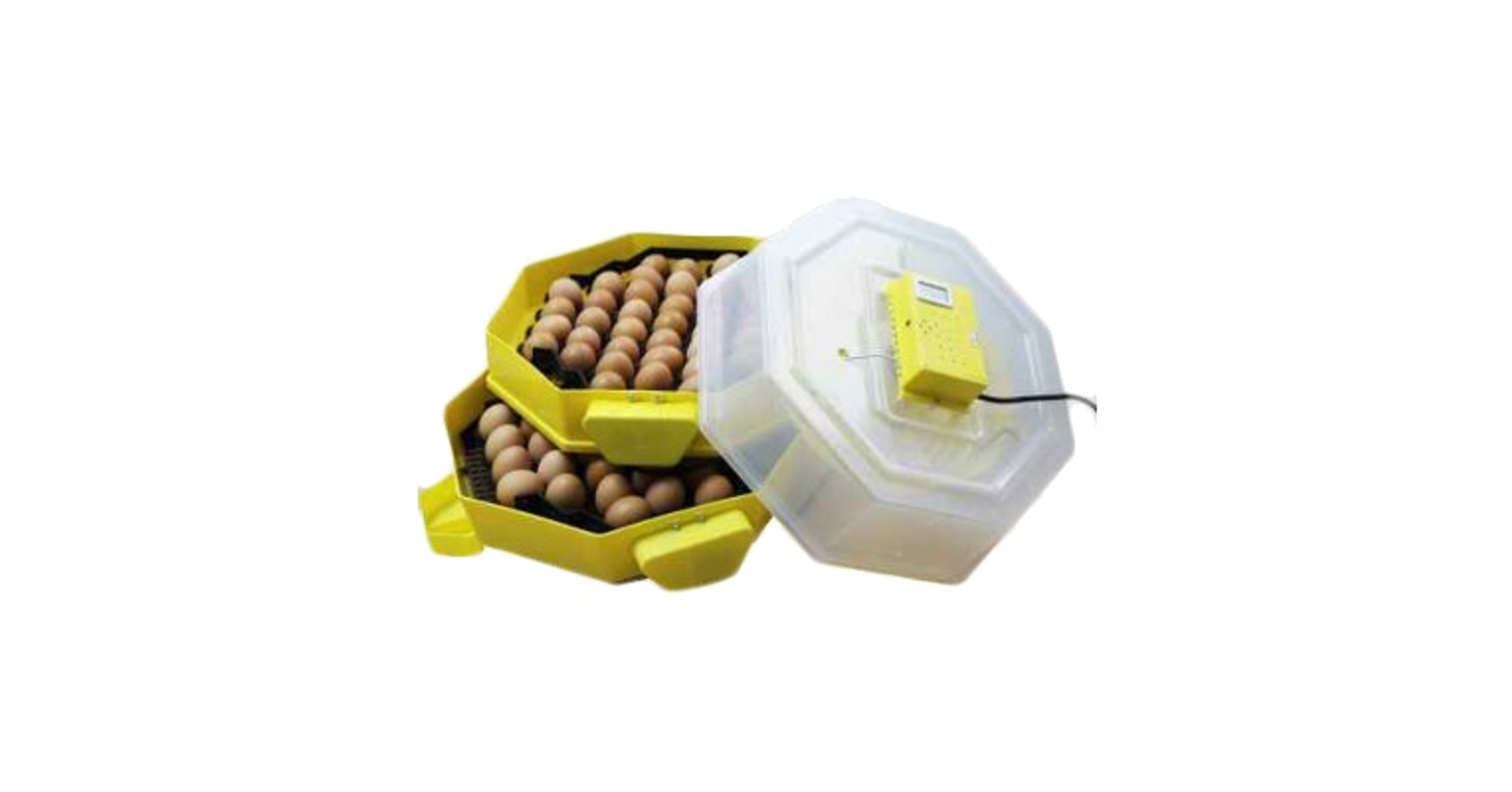 Cleo 2x5DTH-A dupla nyolcszögletű automata keltetőgép